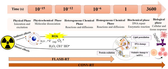 FLASH Radiotherapy: Benefits, Mechanisms, and Obstacles to Its Clinical ...