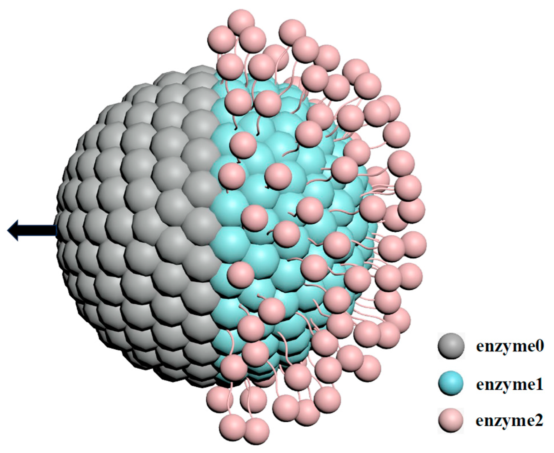 Dynamics of Nanomotors Propelled by Enzyme Cascade Reactions