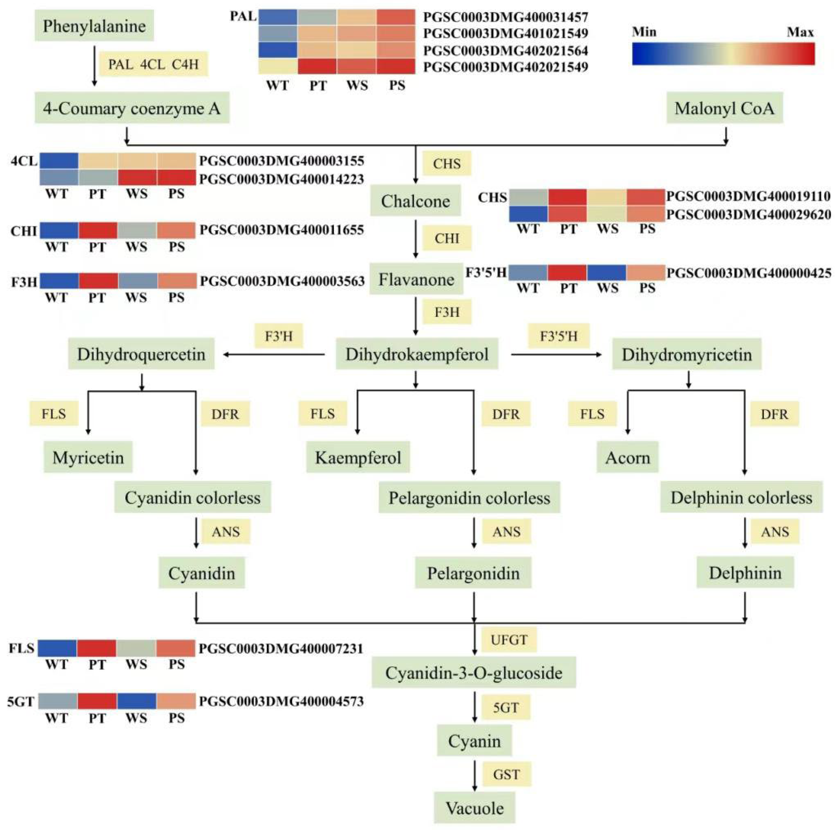 Combined Metabolome and Transcriptome Analyses Reveals Anthocyanin Biosynthesis Profiles Between ...