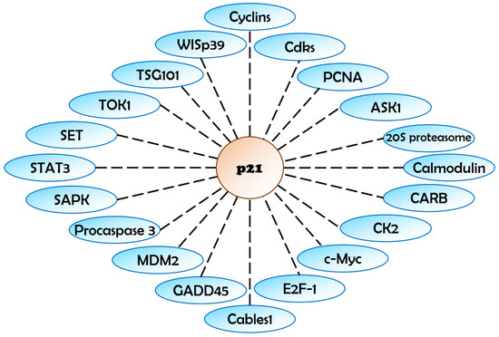 The Emerging Role of p21 in Diabetes and Related Metabolic Disorders