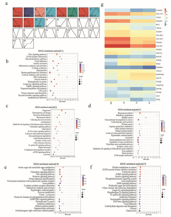Integrated Transcriptomic and Proteomic Analyses of Antler Growth and ...