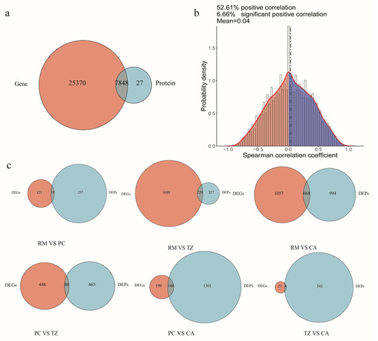Integrated Transcriptomic and Proteomic Analyses of Antler Growth and ...