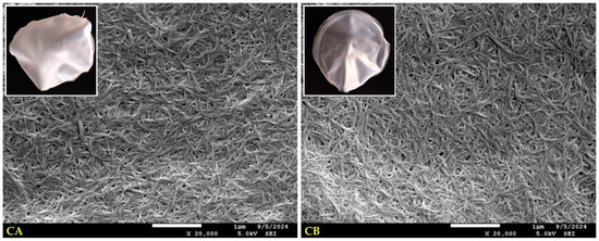 Nanocellulose-Based Films for Surface Protection of Wooden Artefacts