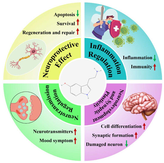 Targeting 5-HT Is a Potential Therapeutic Strategy for ...