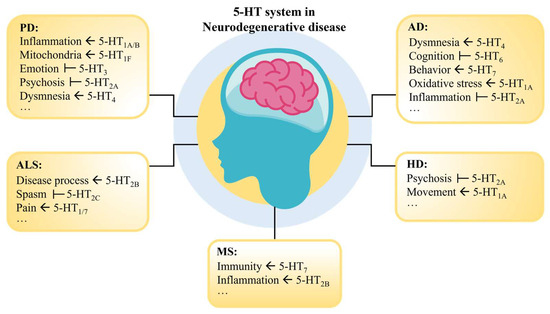 Targeting 5-HT Is a Potential Therapeutic Strategy for ...