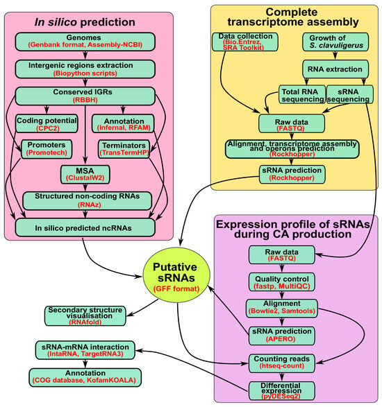 Identification of Small RNAs in Streptomyces clavuligerus Using High-Resolution Transcriptomics ...