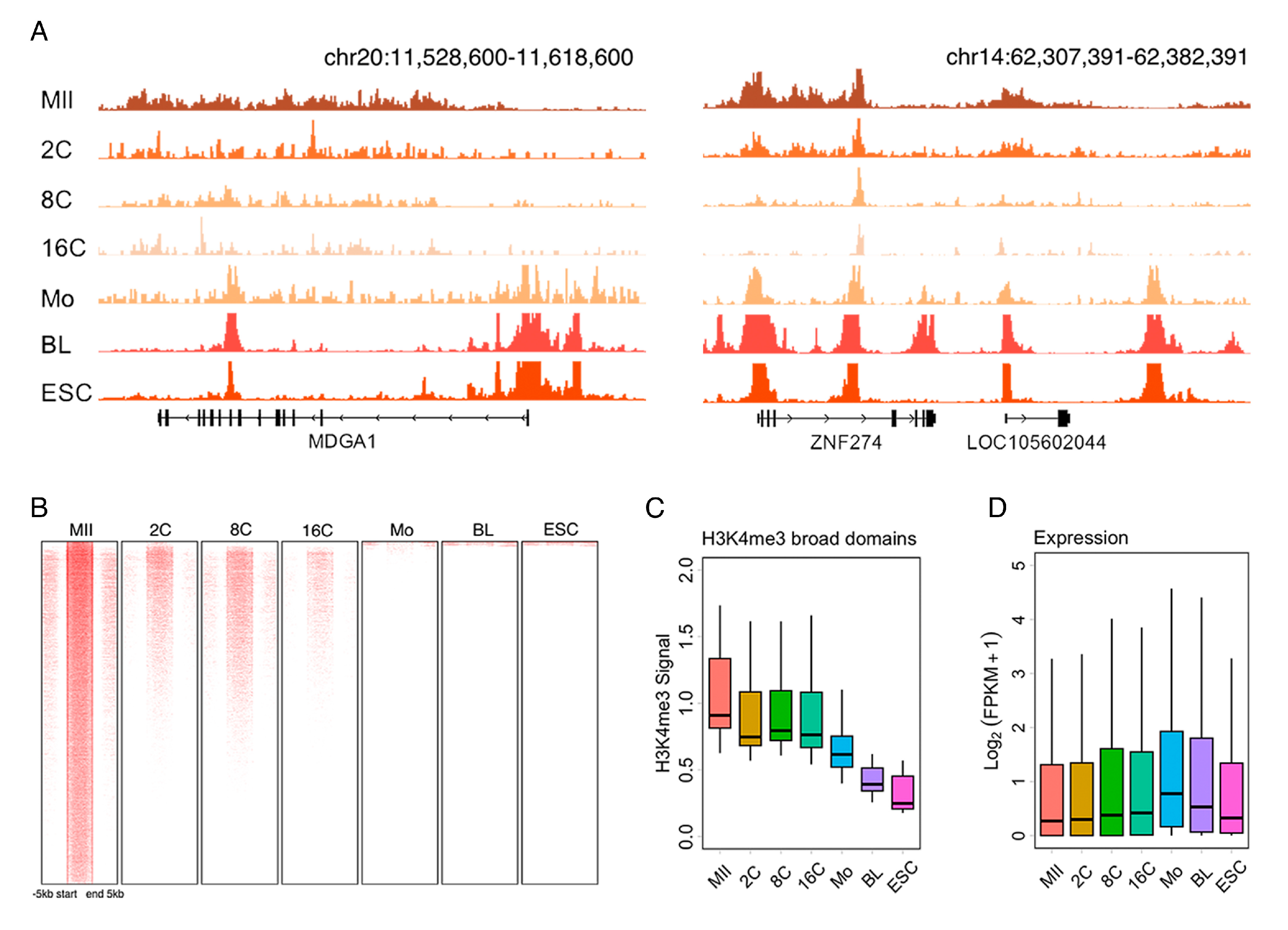 H3K4me3 Genome-Wide Distribution and Transcriptional Regulation of Transposable Elements by RNA ...