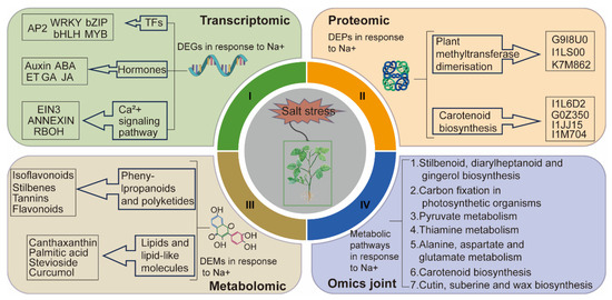 Integrated Transcriptomic, Proteomic, and Metabolomic Analyses Revealed ...