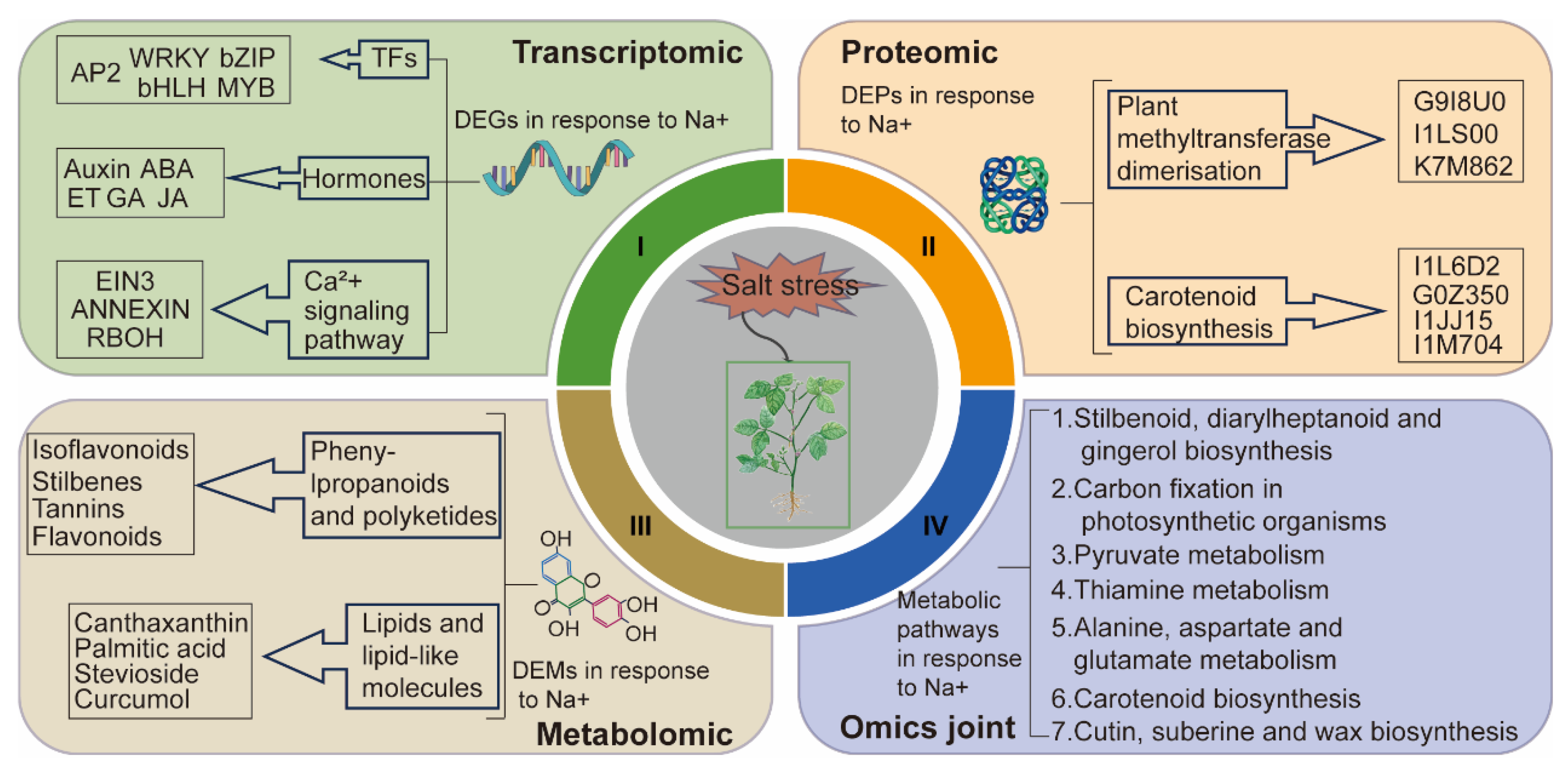 Integrated Transcriptomic, Proteomic, and Metabolomic Analyses Revealed Molecular Mechanism for ...