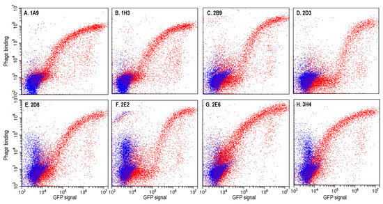 Isolation and Characterization of Antibodies Against Vascular Cell ...