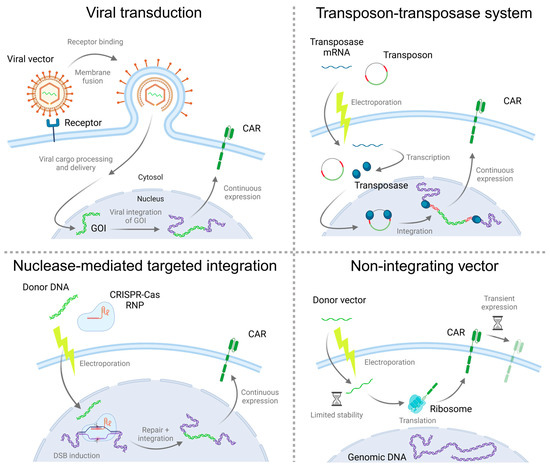 Current Non-Viral-Based Strategies to Manufacture CAR-T Cells
