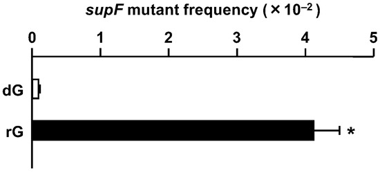 Untargeted Mutation Triggered by Ribonucleoside Embedded in DNA