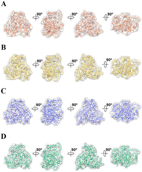 Comparative Analysis of Symmetry Parameters in the E2 Inner Core of the ...