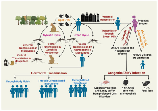 An Overview of Zika Virus and Zika Virus Induced Neuropathies