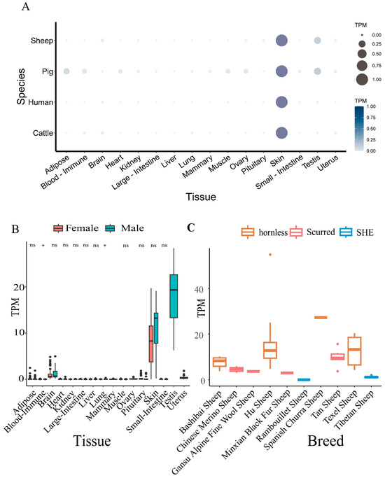 Identification of ALOX12B Gene Expression, Evolution, and Potential ...