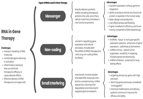RNA Structure: Past, Future, and Gene Therapy Applications
