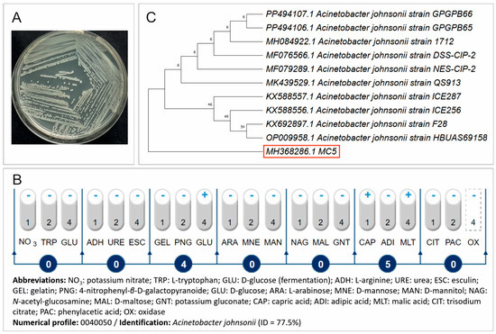 Enhanced Dissipation of Non-Steroidal Anti-Inflammatory Drugs (NSAIDs ...