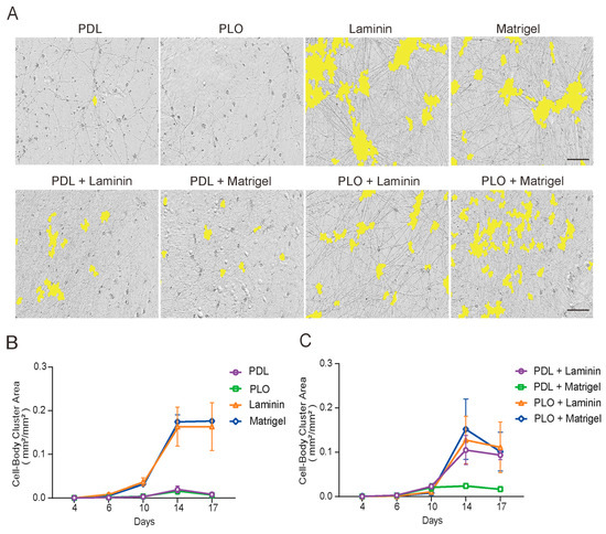 Systematic Evaluation of Extracellular Coating Matrix on the ...
