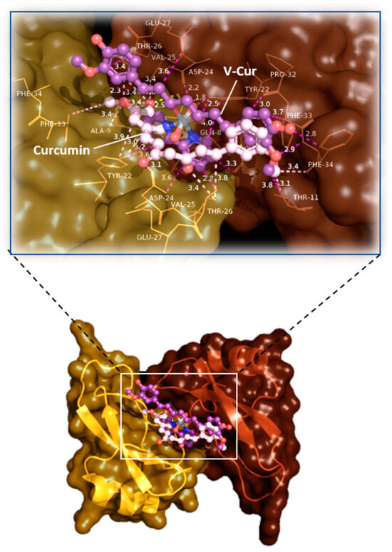 Evaluation of the Anti-Amyloid and Anti-Inflammatory Properties of a ...