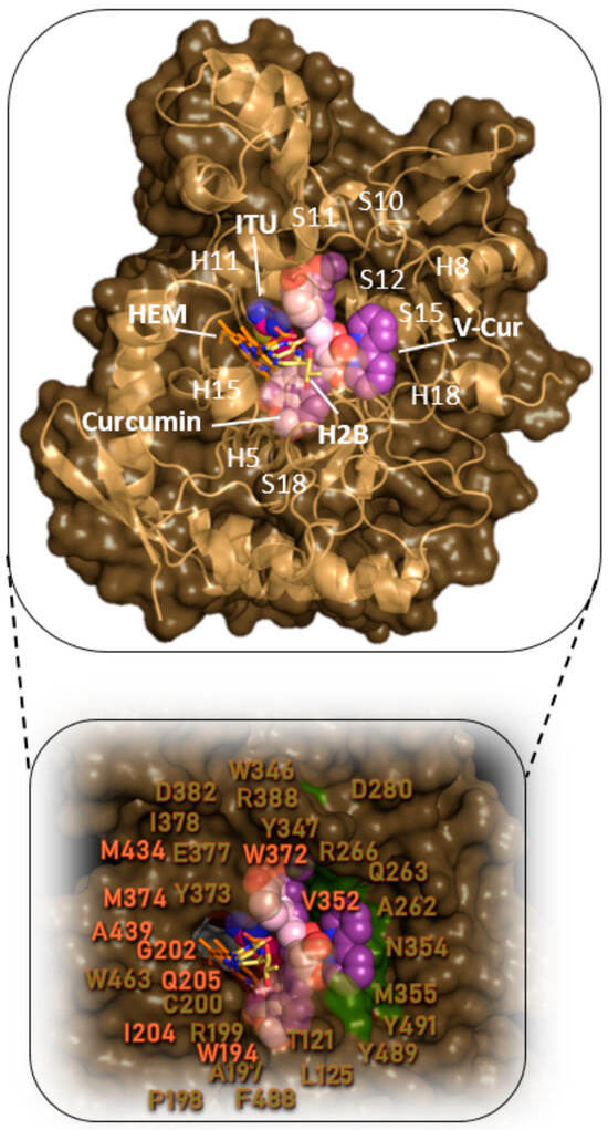 Evaluation of the Anti-Amyloid and Anti-Inflammatory Properties of a ...