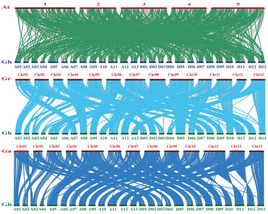 Systematic Analysis of Cotton RING E3 Ubiquitin Ligase Genes Reveals ...