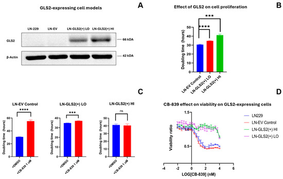 Glutaminase-2 Expression Induces Metabolic Changes and Regulates ...