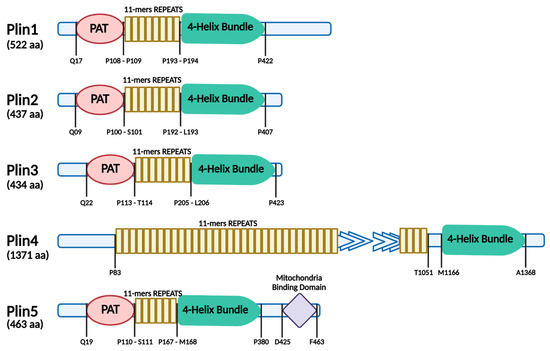 Omics Approaches to Study Perilipins and Their Significant Biological ...