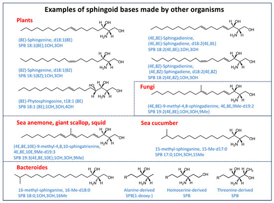 Don’t Be Surprised When These Surprise You: Some Infrequently Studied ...