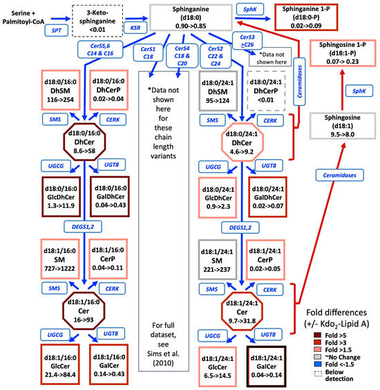 Don’t Be Surprised When These Surprise You: Some Infrequently Studied ...