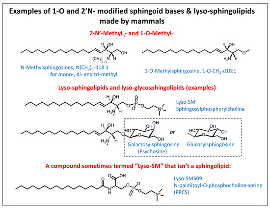 Don’t Be Surprised When These Surprise You: Some Infrequently Studied ...
