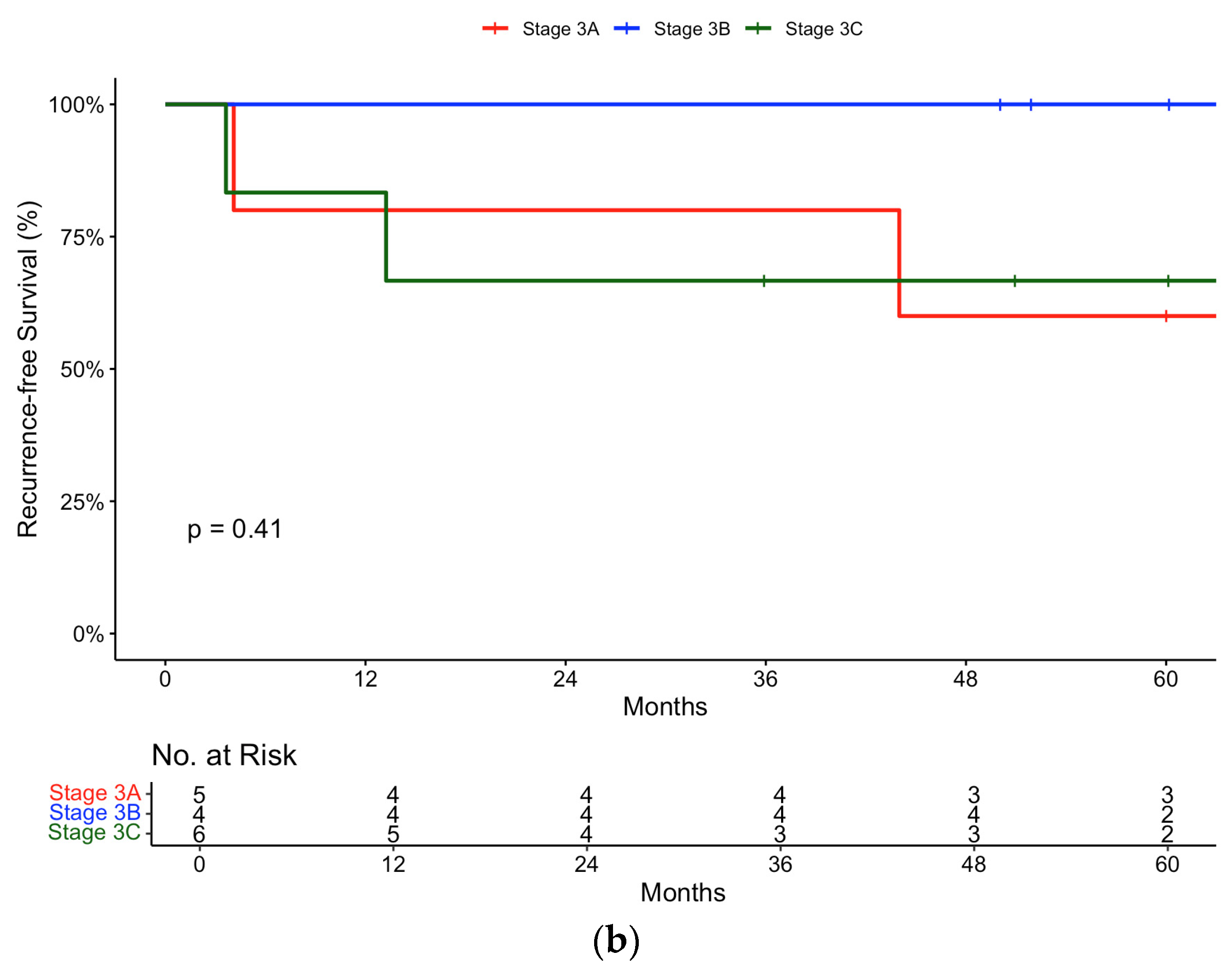 Adjuvant Systemic Immunotherapies for Resected Stage III Melanoma: A Single-Centre Retrospective ...