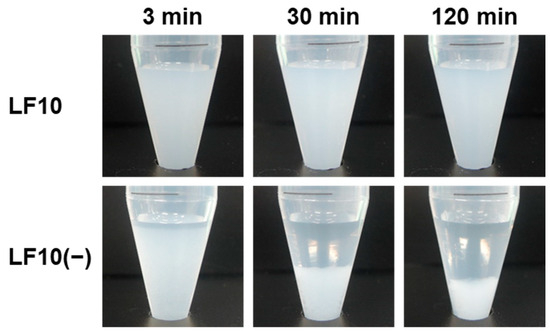 One-Step Fabrication of Water-Dispersible Calcium Phosphate ...