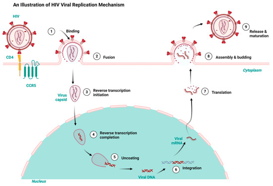 Evaluating the Efficacy of Repurposed Antiretrovirals in Hepatitis B ...