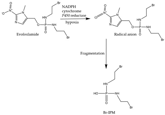 Prodrugs in Oncology: Bioactivation and Impact on Therapeutic Efficacy ...