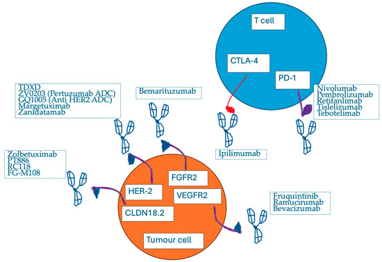 Monoclonal Antibodies in Metastatic Gastro-Esophageal Cancers: An ...