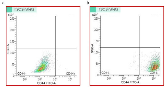 JQ1 Treatment and miR-21 Silencing Activate Apoptosis of CD44+ Oral ...