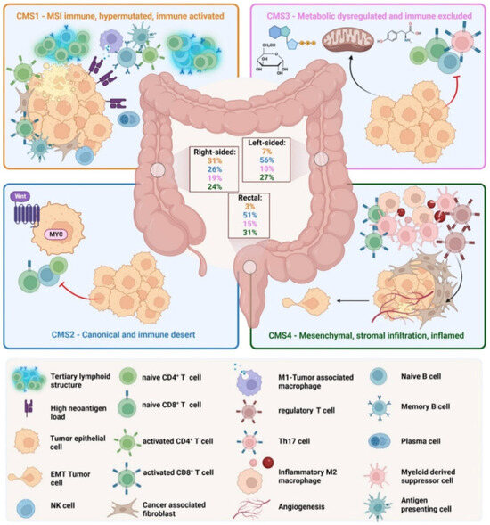 Colorectal Cancer: Current and Future Therapeutic Approaches and Related Technologies Addressing ...