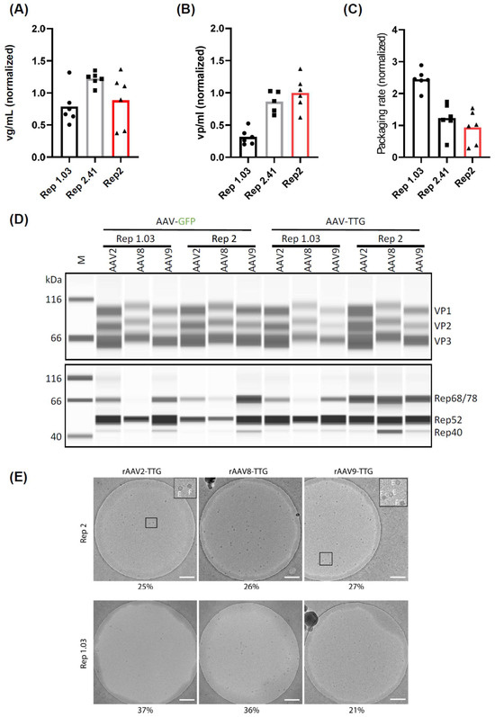 Improved Recombinant Adeno-Associated Viral Vector Production via ...