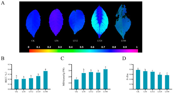 Transcriptome and MicroRNA Analysis of Juglans regia in Response to Low ...