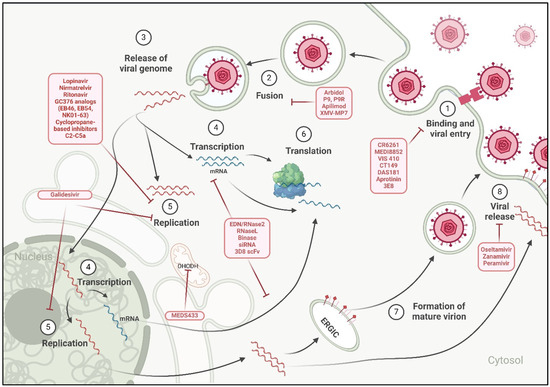 Potential Broad-Spectrum Antiviral Agents: A Key Arsenal Against Newly ...