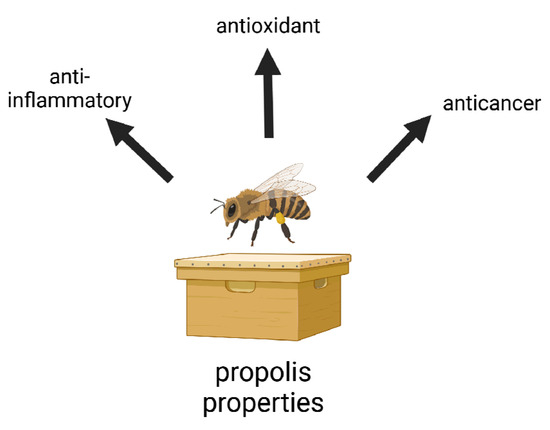 Propolis: A Natural Substance with Multifaceted Properties and Activities