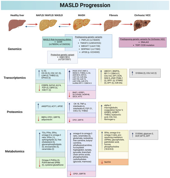 Unraveling Metabolic Dysfunction-Associated Steatotic Liver Disease ...
