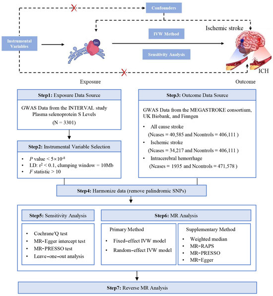Genetically Elevated Selenoprotein S Levels and Risk of Stroke: A Two ...
