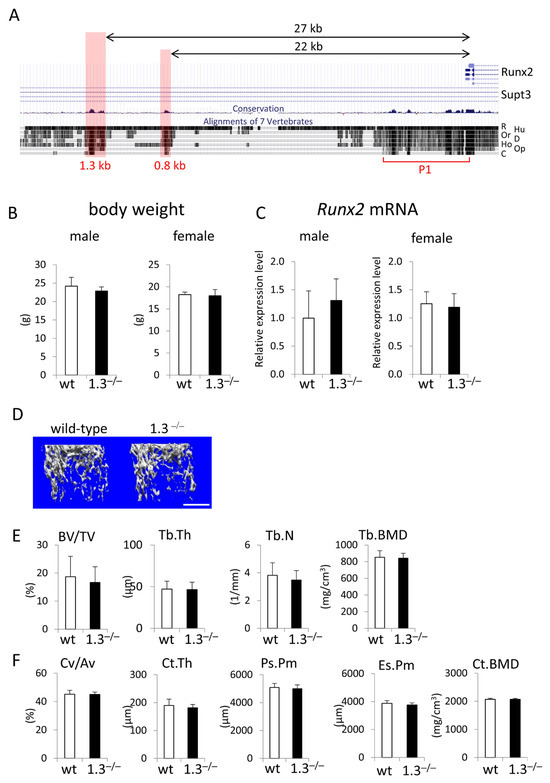 An Osteoblast-Specific Enhancer and Subenhancer Cooperatively Regulate Runx2 Expression in ...