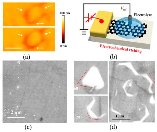 Graphene Nanopore Fabrication and Applications