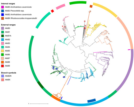 Generalization of Classification of AlkB Family Alkane Monooxygenases ...