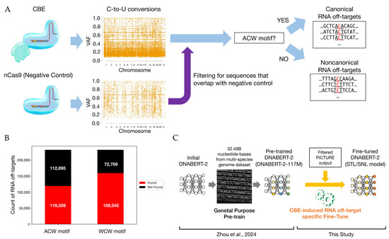 Risk Prediction of RNA Off-Targets of CRISPR Base Editors in Tissue ...