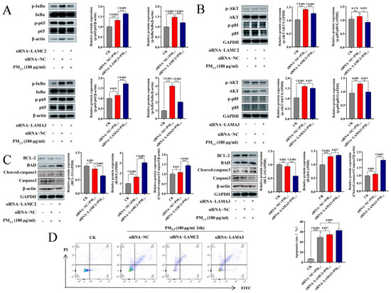 miR-212-5p Regulates PM2.5-Induced Apoptosis by Targeting LAMC2 and LAMA3