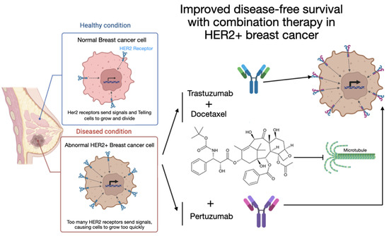 Pertuzumab in Combination with Trastuzumab and Docetaxel as Adjuvant Doublet Therapy for HER2 ...