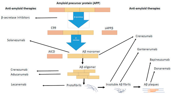 Clinical Importance of Amyloid Beta Implication in the Detection and ...